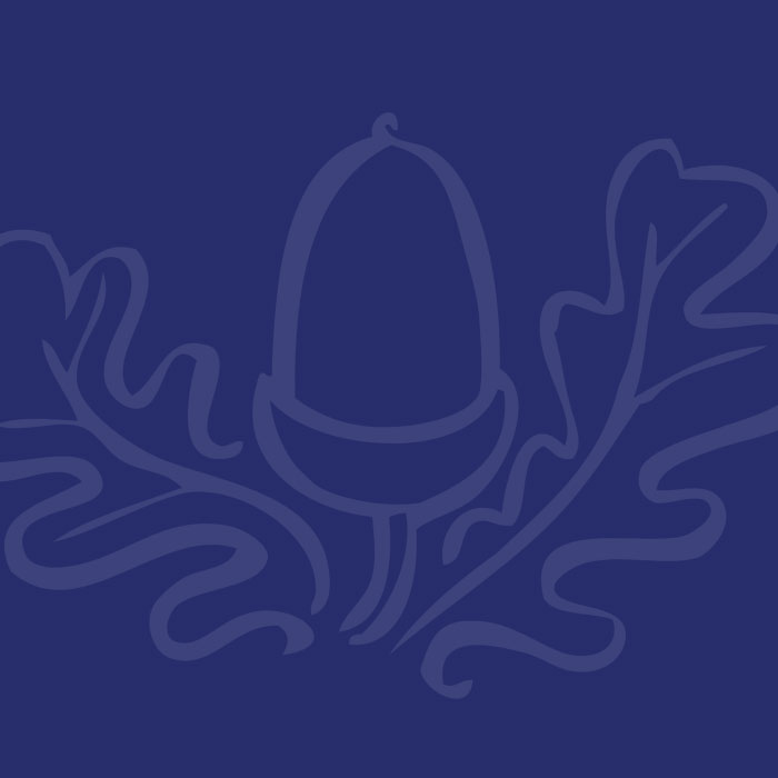 Church Crookham Junior School - ‘Great CCJS Bake Off’ – Year 5 House ...